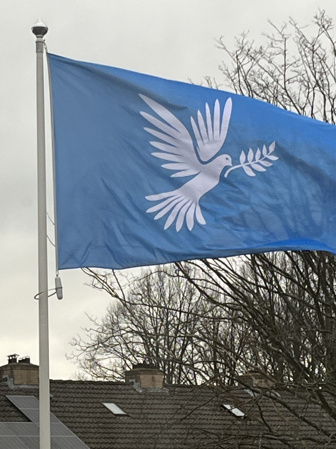 Groep 8B – SBO de Kans